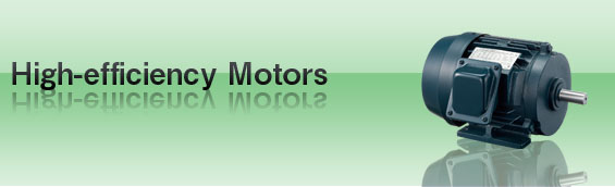 Fuji motor tại Quảng Nam, sản phẩm cao cấp của Fuji Nhật Bản